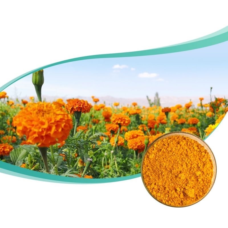 Lutein Feed grade(Coloring Agents)